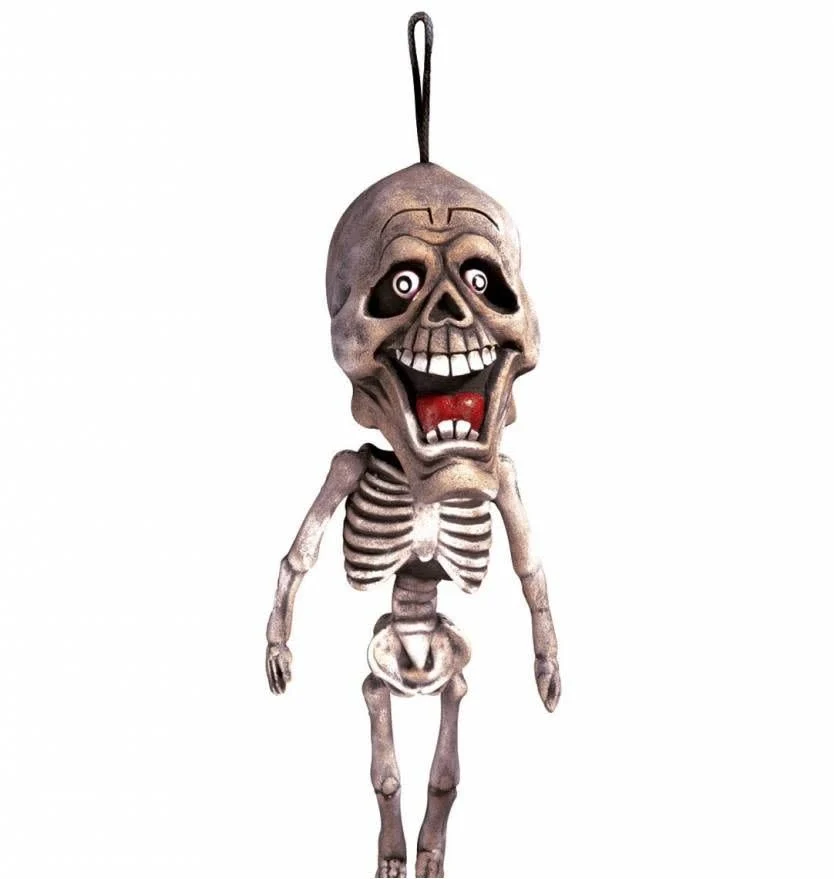 hanging skeleton skeletal skeleton - Carlys